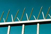 Security Toppings Viper-Spike | Jacksons Fencing