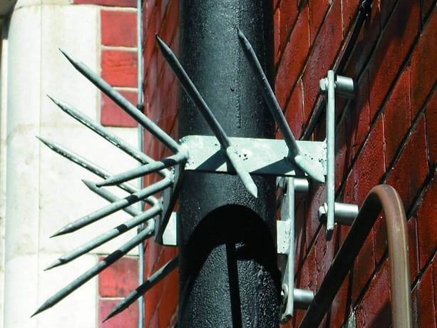 Viper AntiClimb Spikes | Jacksons Fencing