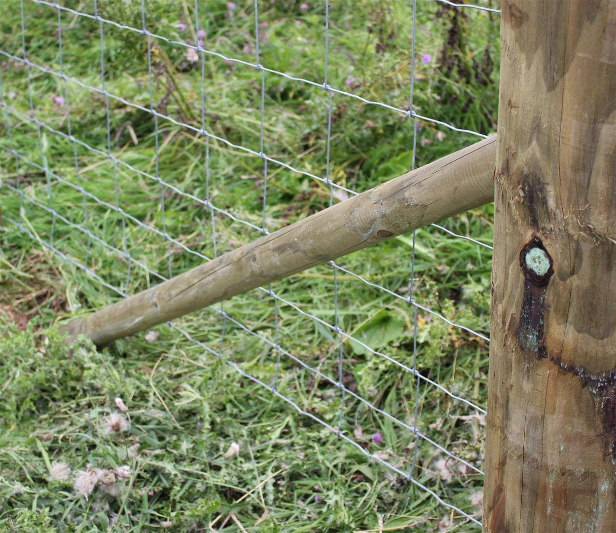 Machine rounded Struts | Jacksons Fencing