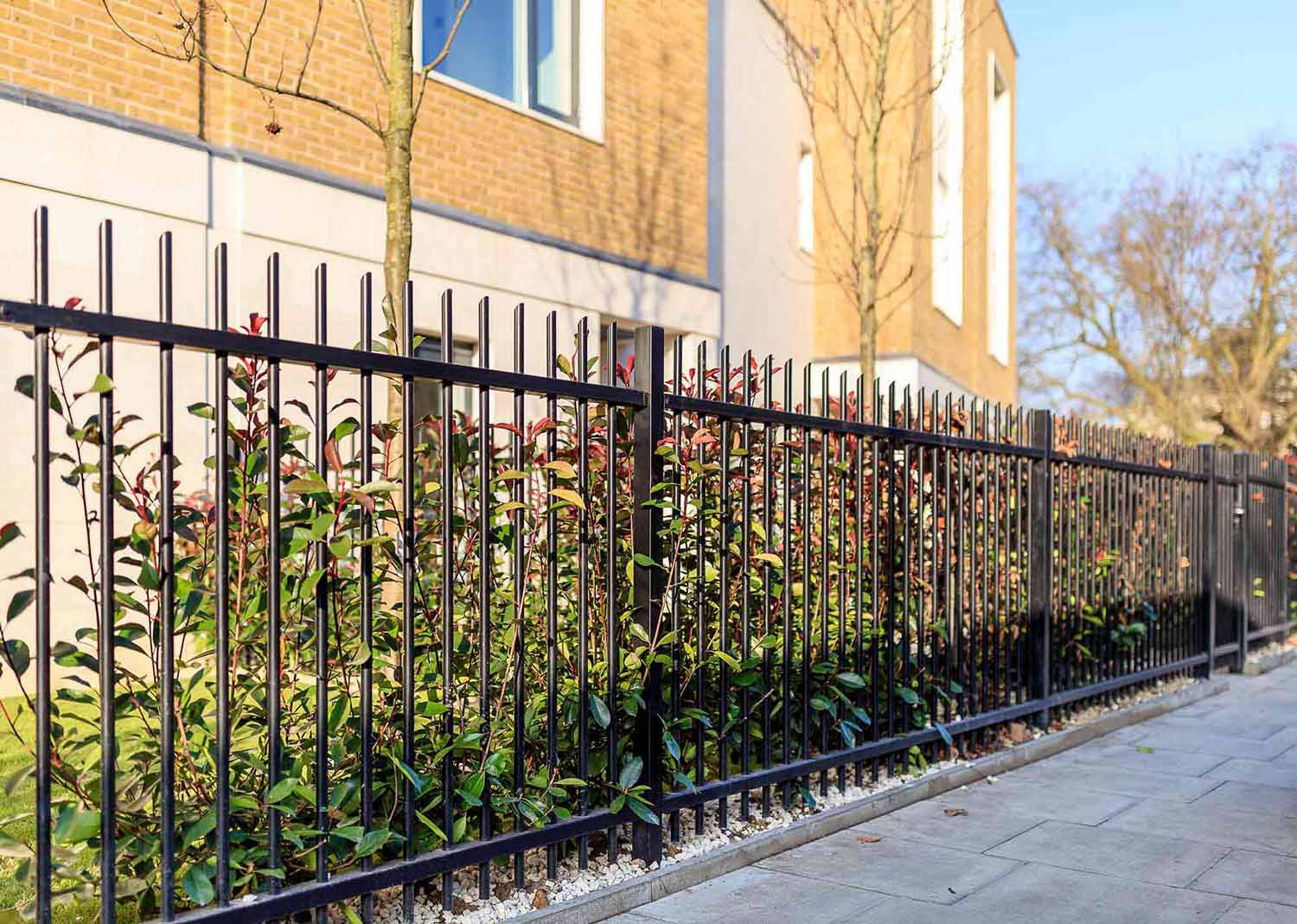 Search Results | Jacksons Fencing