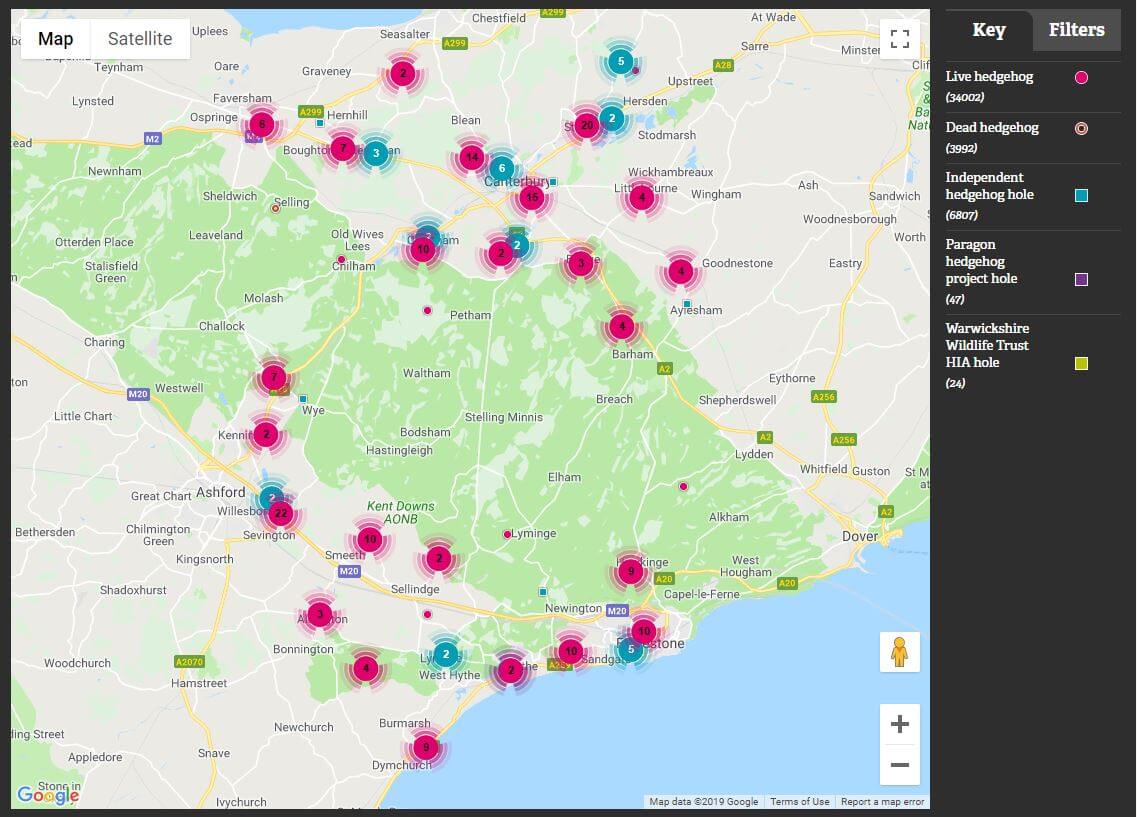 How to help hedgehogs in your garden | Jacksons Fencing