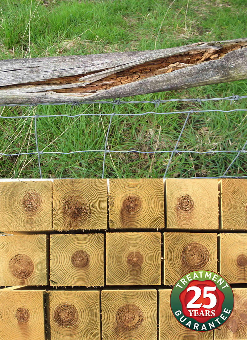 Save Money by Installing Pressure Treated Fencing | Jacksons Fencing