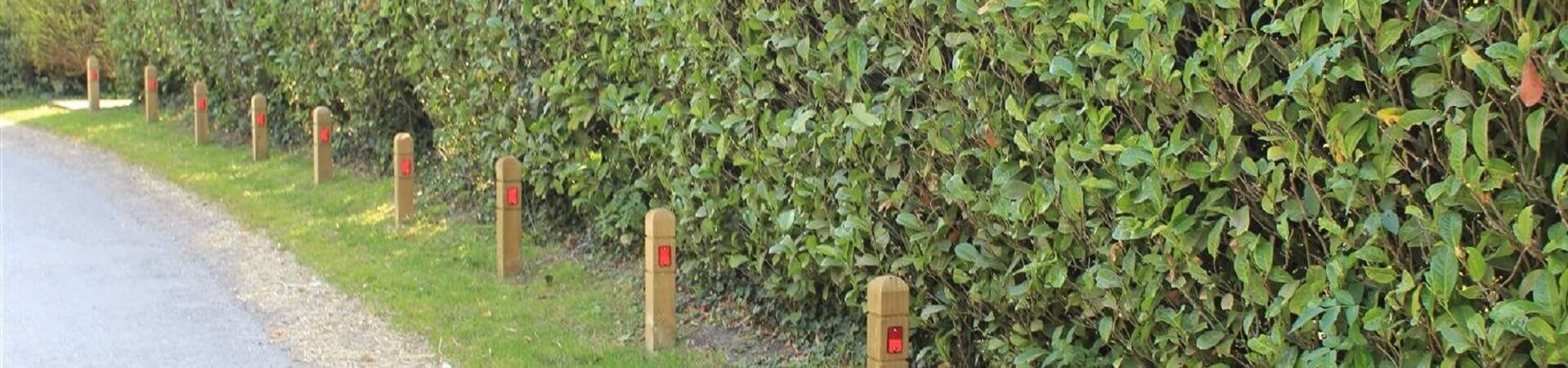 Search Results | Jacksons Fencing